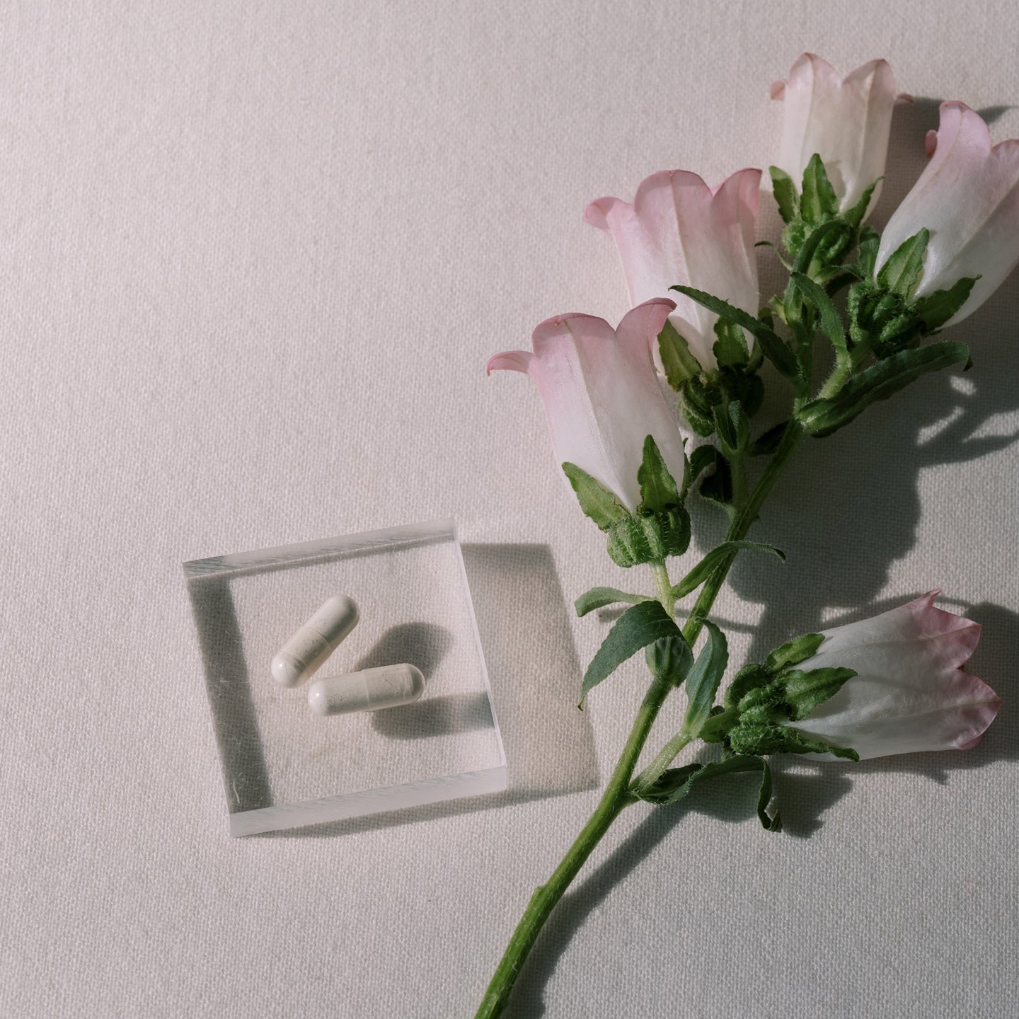 Women's Vitamin | Pro Life Supplements We Heart Nutrition – We Heart ...